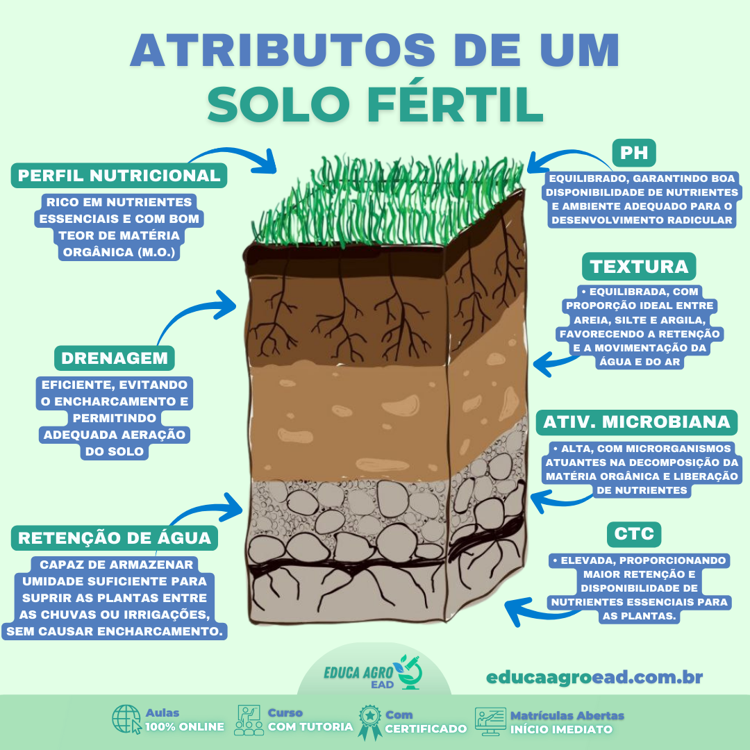 🌱 Atributos de um Solo Fértil: A Base da Produtividade no Campo - Educa Agro Ead