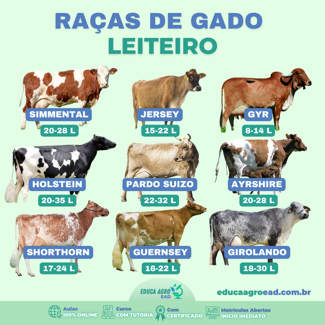🐄 Raças de Gado Leiteiro e Seu Potencial de Produção 🥛 - Educa Agro Ead