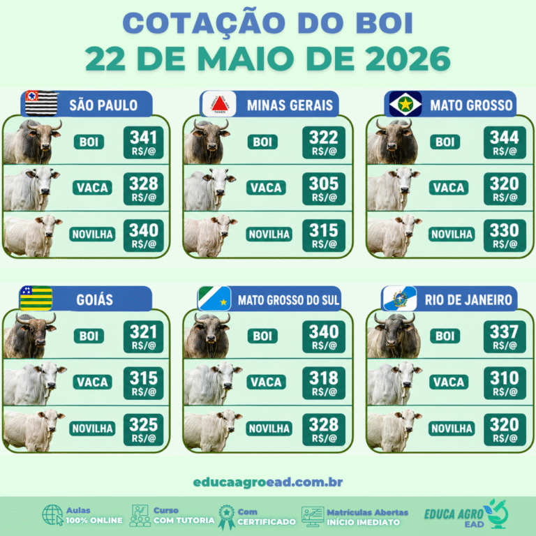 🐂 Cotação do boi — 22 de maio de 2026: confira os preços da arroba em ...
